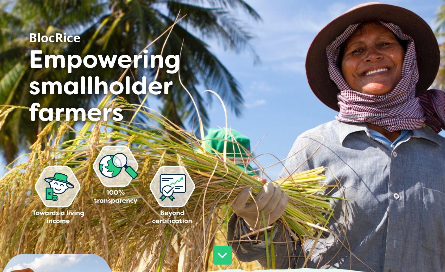 Empowering smallholder farmers - blocrice